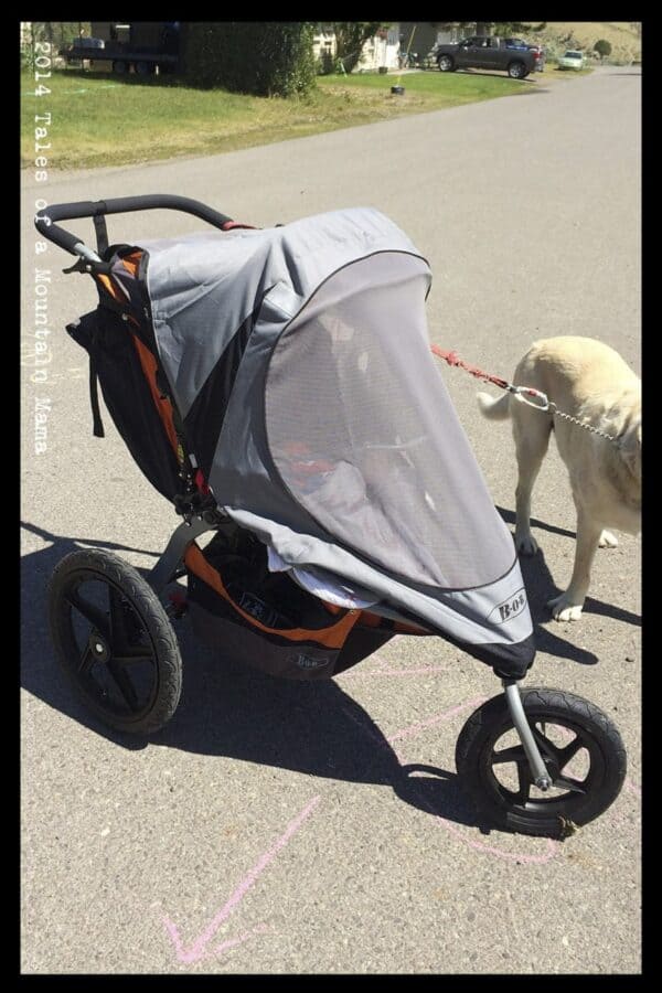 BOB Revolution SE + Britax Infant Car Seat Review - Tales of a Mountain ...