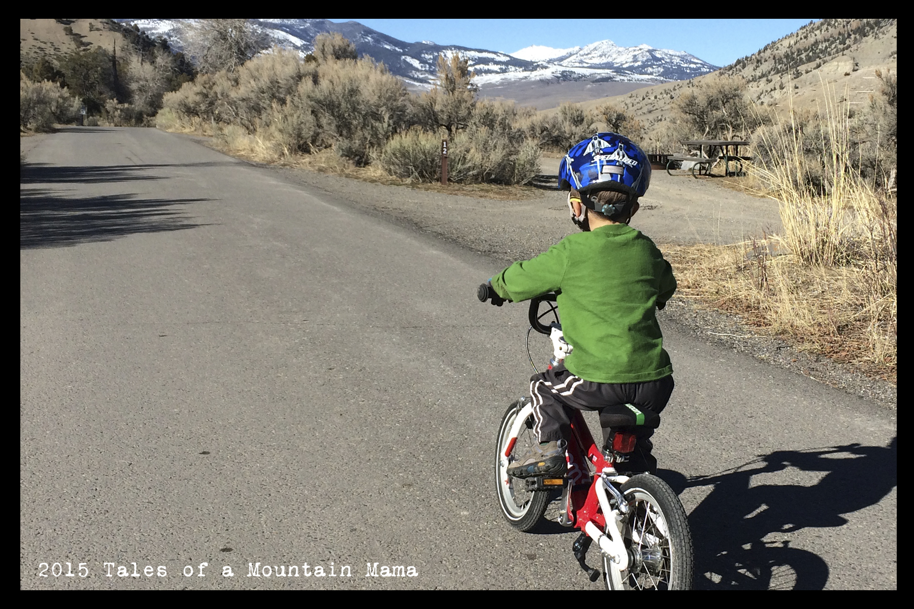 WOOM 2 Bike Review - Tales of a Mountain Mama