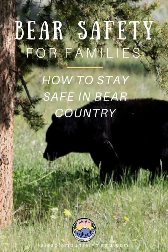 Bear Safety for Families - Tales of a Mountain Mama