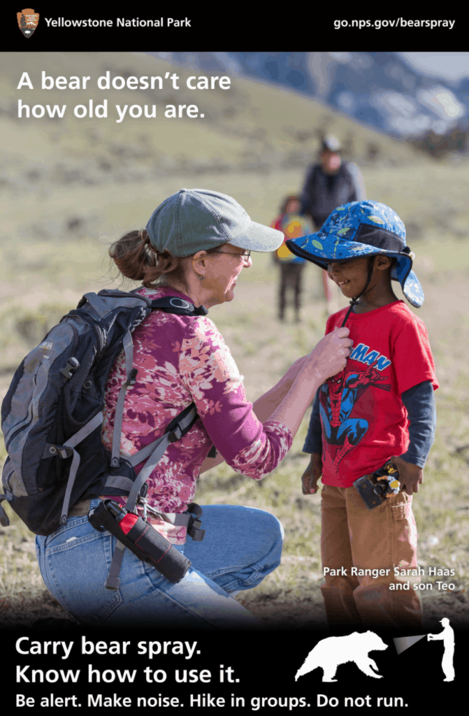 Bear Safety for Families - Tales of a Mountain Mama