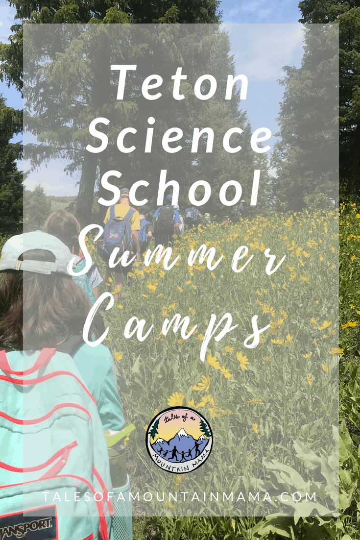 Teton Science School Camps for Outdoor Kids - Tales of a Mountain Mama