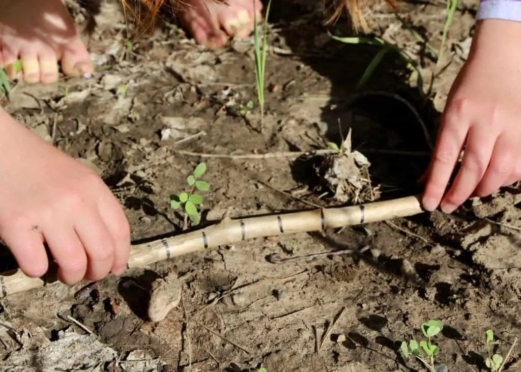 Wild Math - An Outdoor Curriculum Guide - Tales of a Mountain Mama