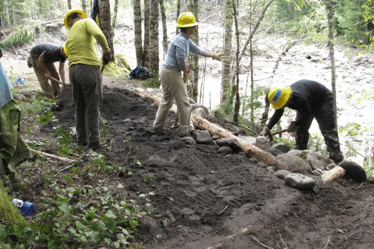 7 Hidden Features to Point Out to Kids on any Trail - Tales of a ...