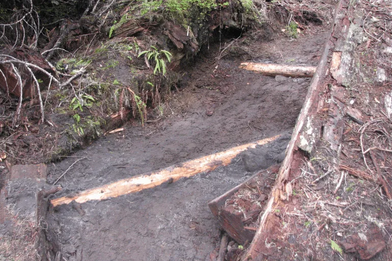 7 Hidden Features to Point Out to Kids on any Trail - Tales of a ...