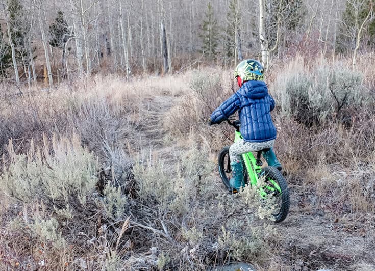 Spawn Cycles Yoji 16" Bike Review - Tales of a Mountain Mama