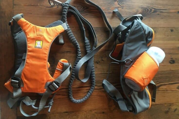 Learning Dog Joring + Ruffwear Omnijore System - Tales of a Mountain Mama