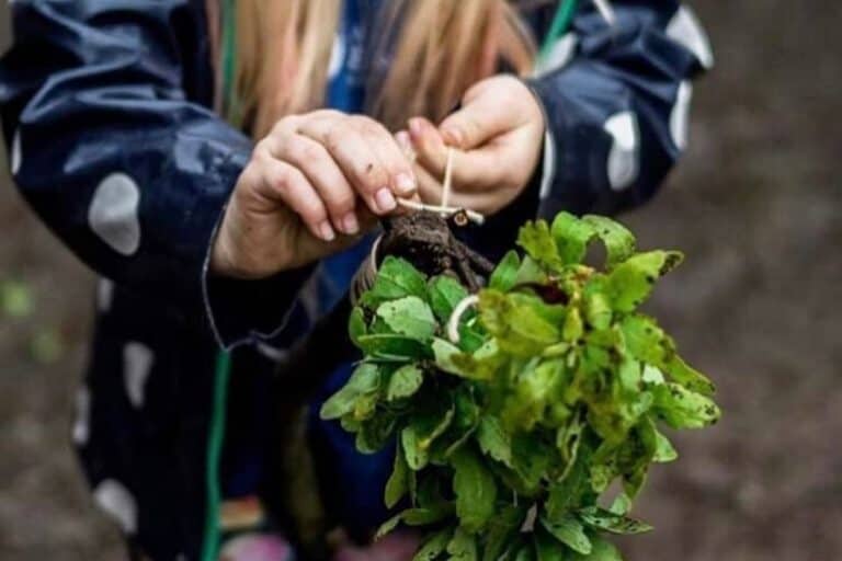 How to Make a Journey Stick - Tales of a Mountain Mama