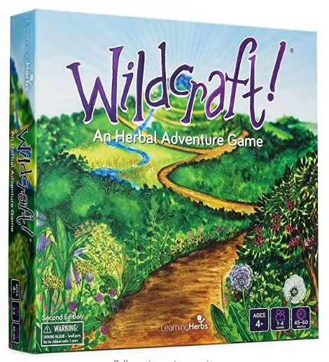 Camping Board Games for Families - Tales of a Mountain Mama