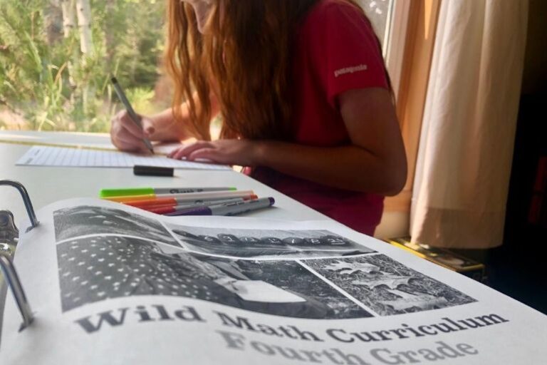 Wild Math Fourth Grade Review - Tales of a Mountain Mama