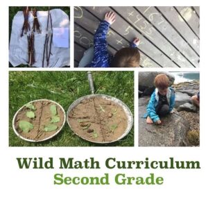 Wild Math Second Grade Review - Tales of a Mountain Mama