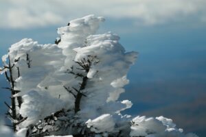 Surviving (and Thriving) Below Zero with Kids - Tales of a Mountain Mama