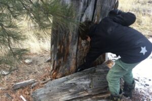 How to go Geocaching with Kids - Tales of a Mountain Mama