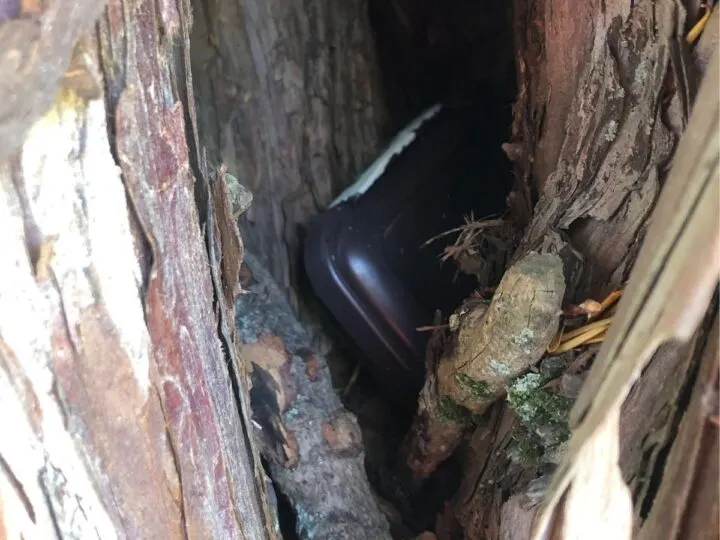 Letterboxing for Kids - Tales of a Mountain Mama