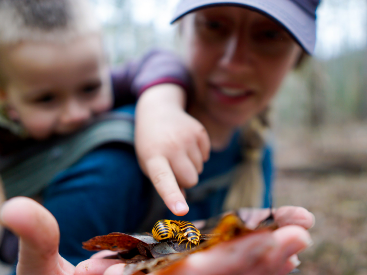 50 Hiking Games for Kids - Tales of a Mountain Mama