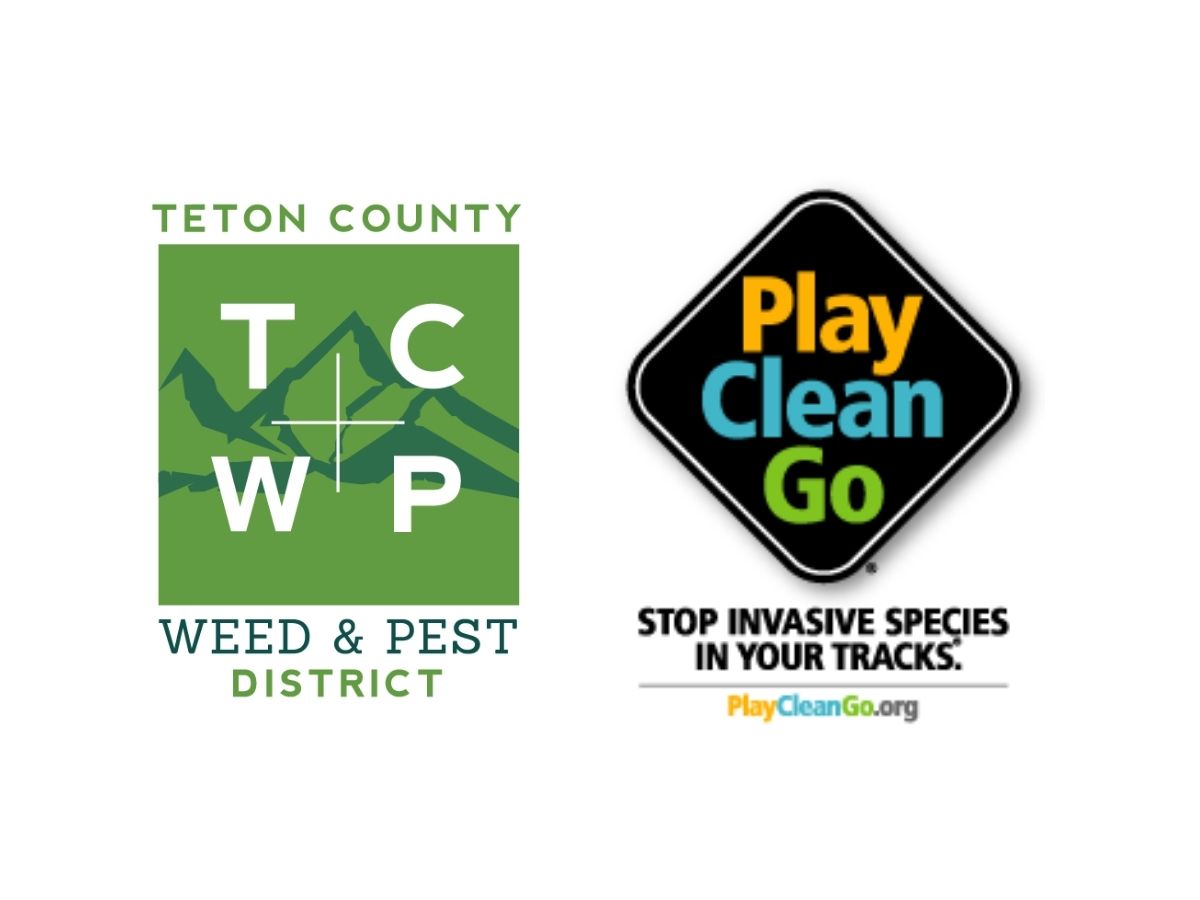 Play. Clean. Go. Recreation Tips - Tales of a Mountain Mama