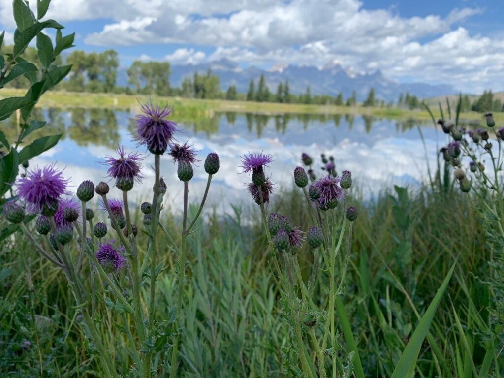 Play. Clean. Go. Recreation Tips - Tales of a Mountain Mama