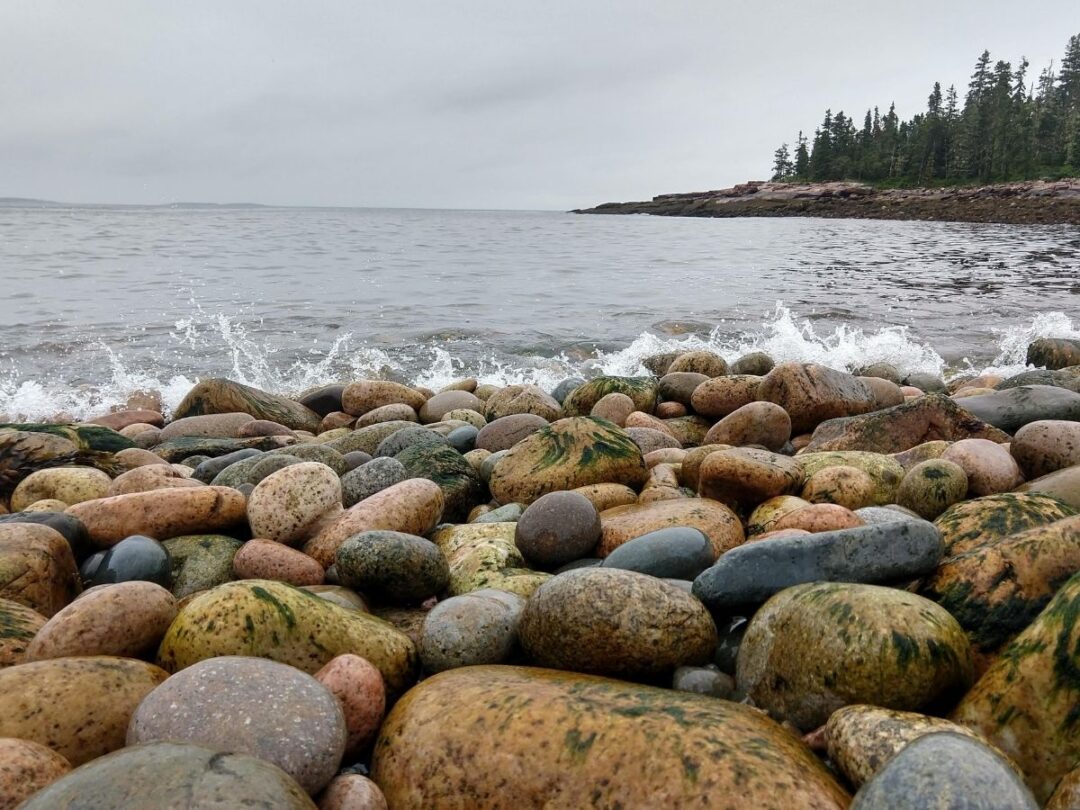 Acadia National Park with Kids - Tales of a Mountain Mama
