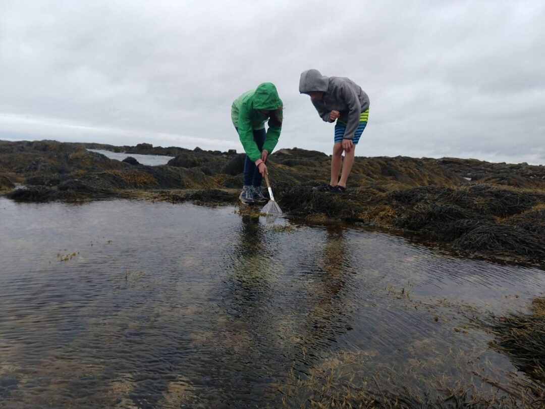 Acadia National Park with Kids - Tales of a Mountain Mama