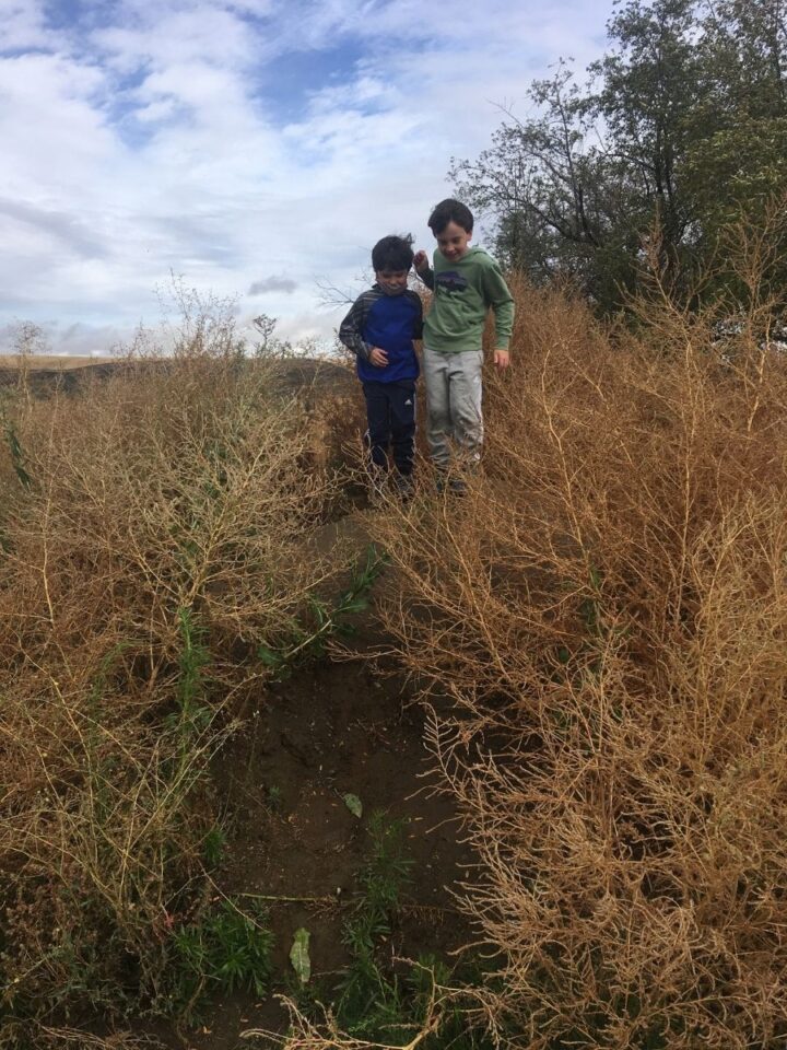 Fall Microadventure Ideas for Families - Tales of a Mountain Mama