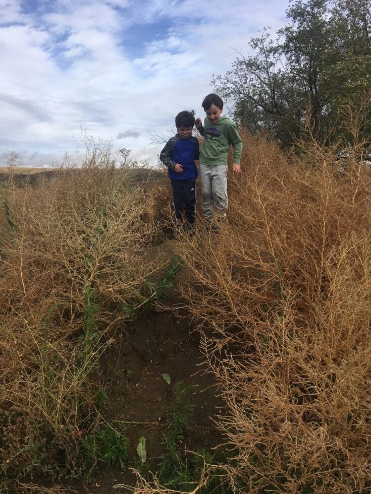 Fall Microadventure Ideas for Families - Tales of a Mountain Mama