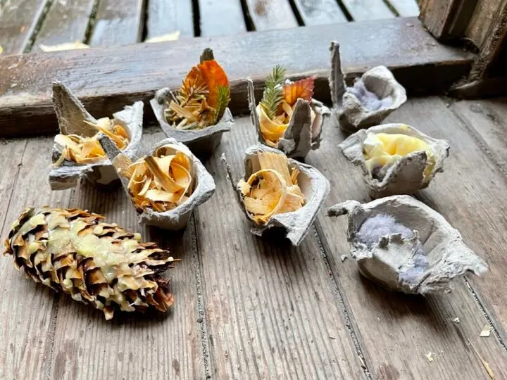 DIY Fire Starter Ideas - Tales of a Mountain Mama