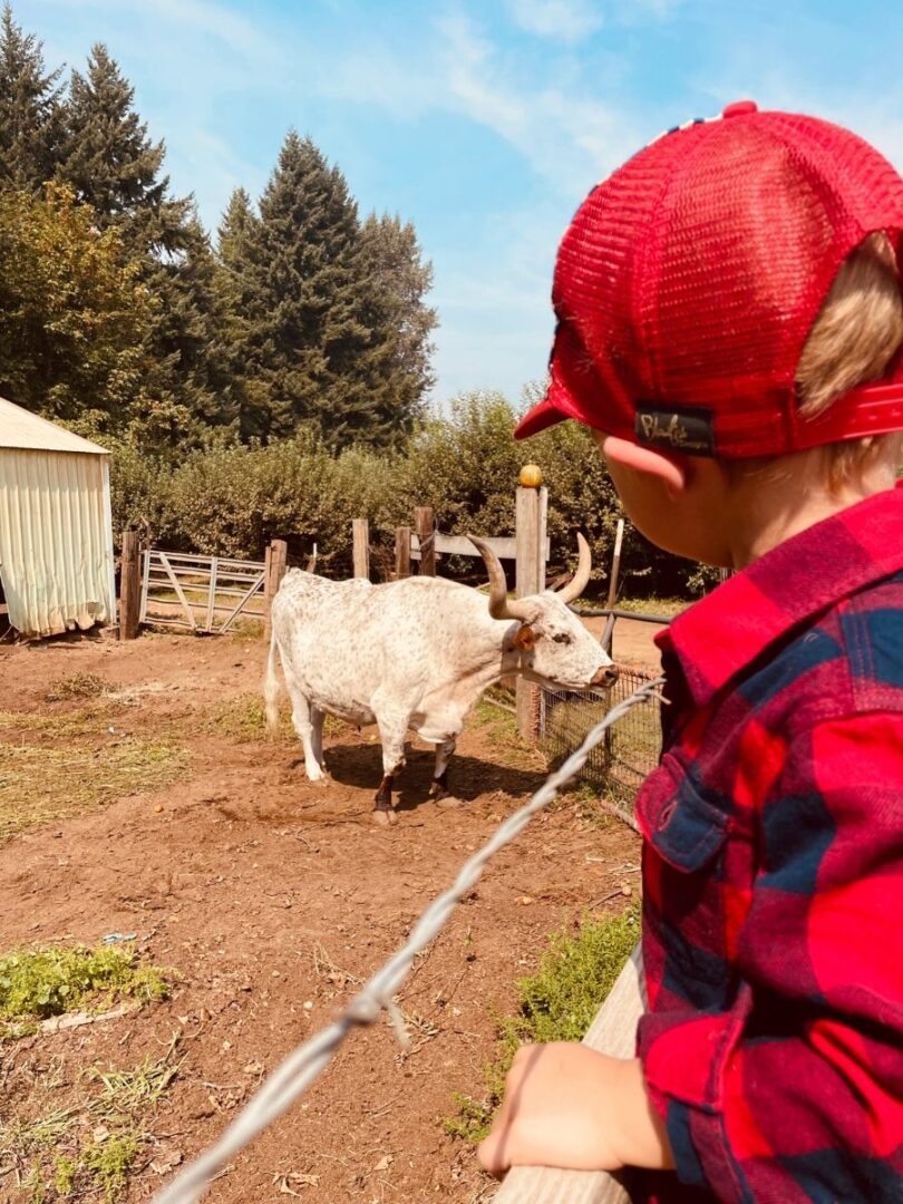 Outdoor Adventures in Agritourism - Tales of a Mountain Mama