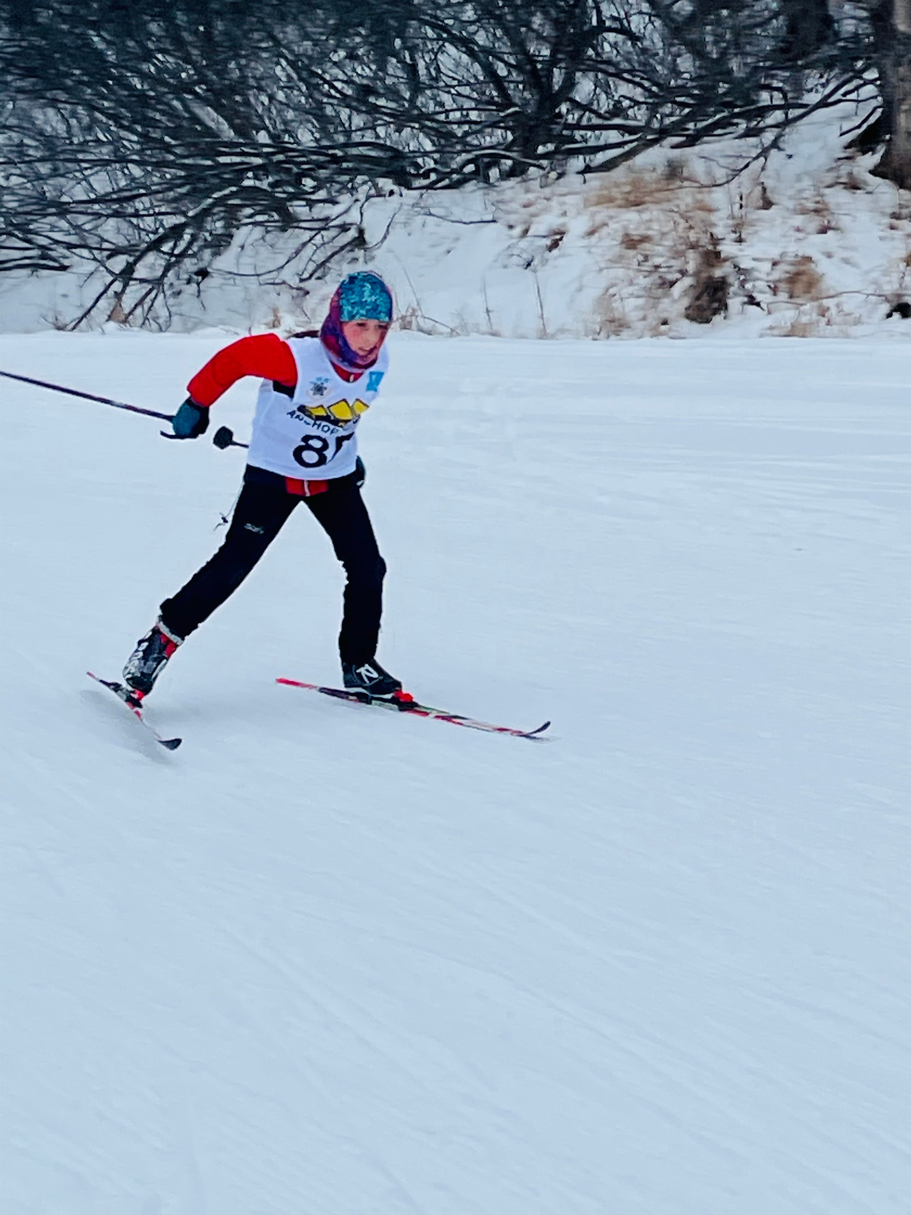 How to Skate Ski - Tales of a Mountain Mama