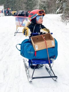 Kicksledding for all ages! - Tales of a Mountain Mama