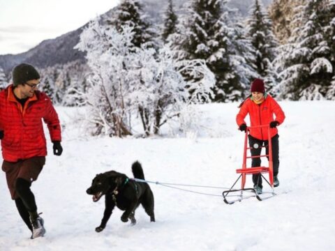 Kicksledding for all ages! - Tales of a Mountain Mama