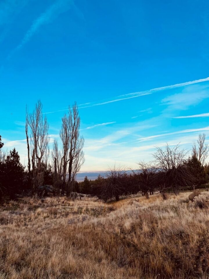 Wide Open Spaces: Visiting Our National Grasslands - Tales of a ...