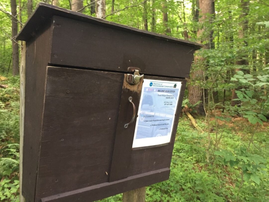 Hiking the Lake George 12ster with Kids - Tales of a Mountain Mama