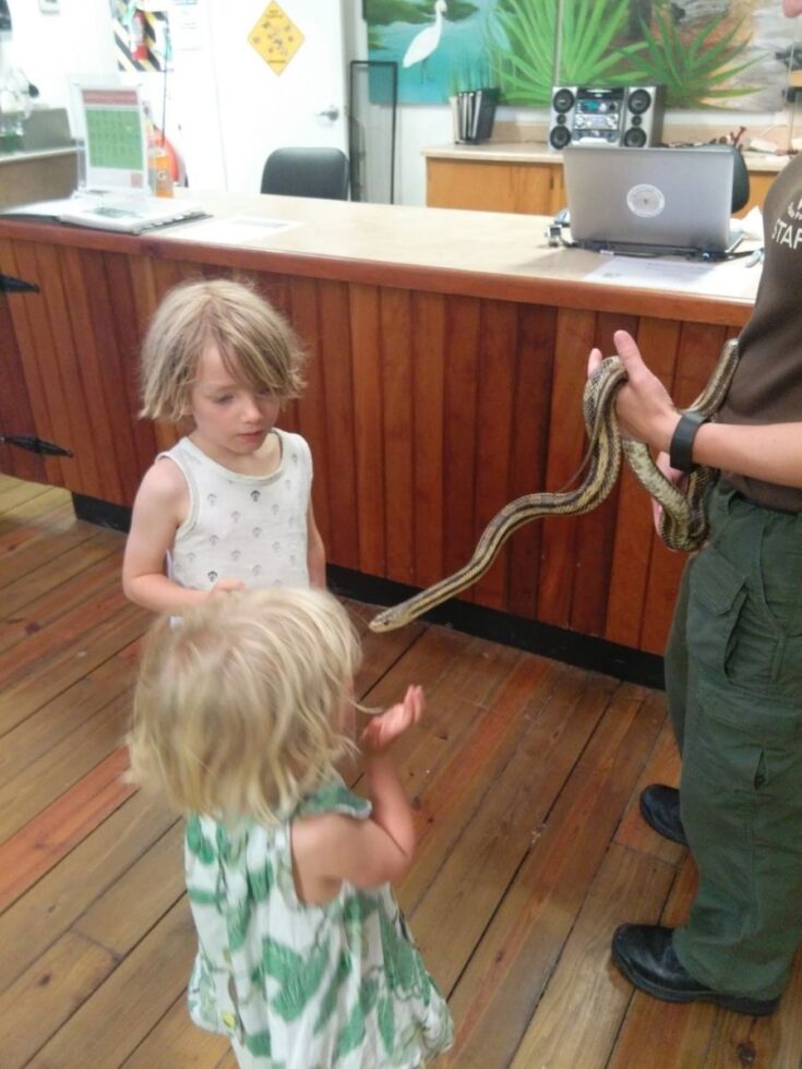 How to Avoid Snakes While Hiking - Tales of a Mountain Mama