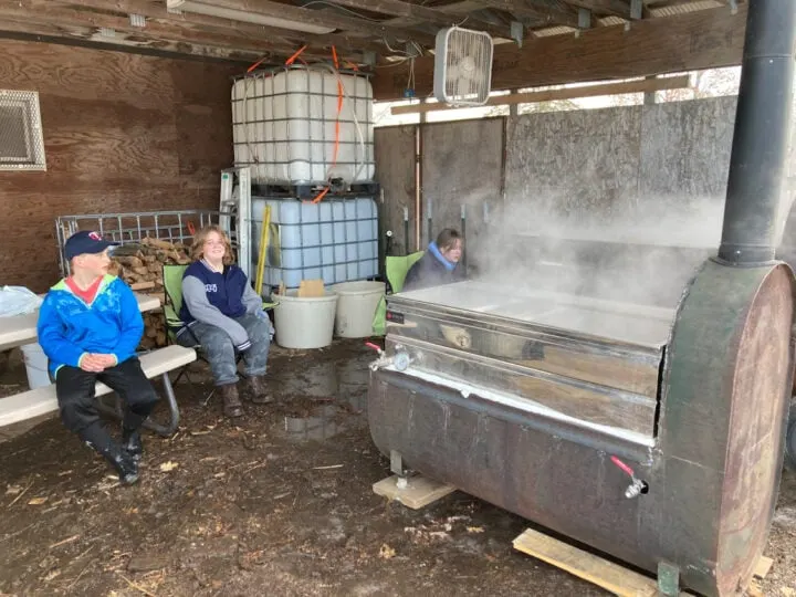 Maple Syrup Harvesting - Tales of a Mountain Mama