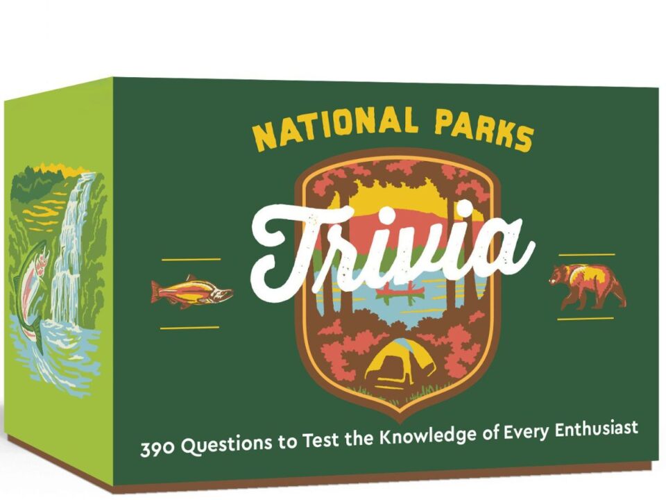 Fun Things to Do While Camping - Tales of a Mountain Mama