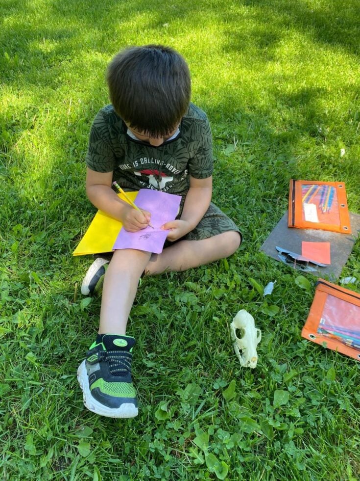 Making Observations About Nature - Tales of a Mountain Mama