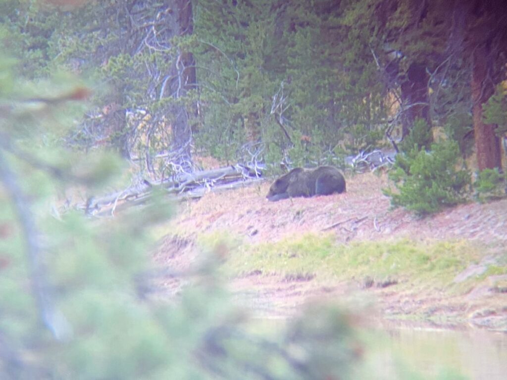 How to Store Food in Bear Country - Tales of a Mountain Mama