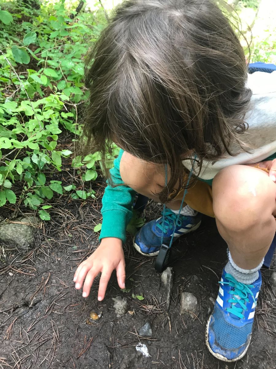 Making Observations About Nature - Tales of a Mountain Mama