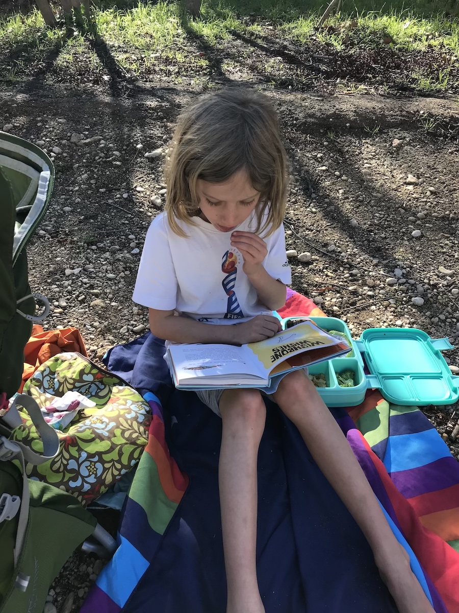 Best Summertime Reads - Tales of a Mountain Mama