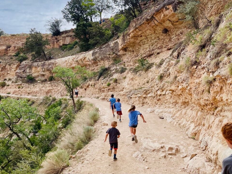 Grand Canyon with Kids - Tales of a Mountain Mama