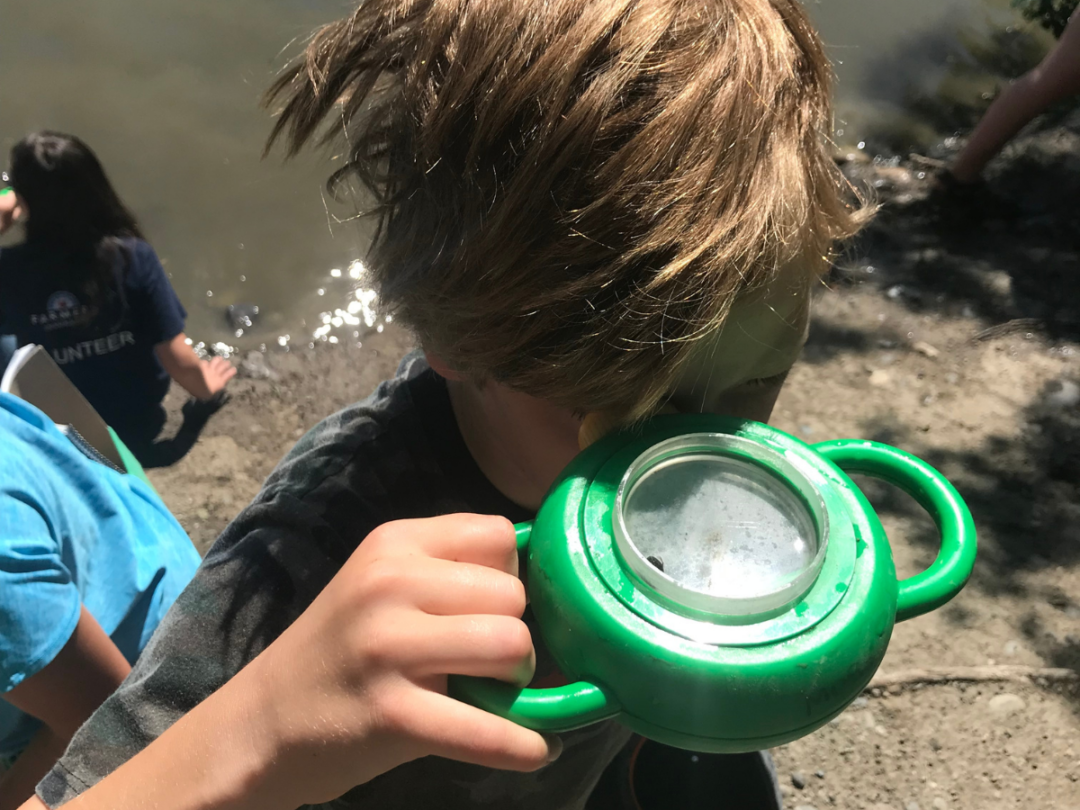 How to Get Over Fear of Bugs - Tales of a Mountain Mama