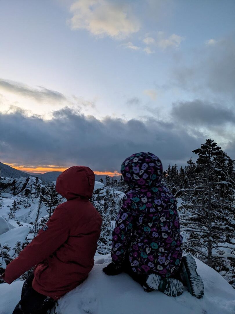 Winter Unit Study - Tales of a Mountain Mama