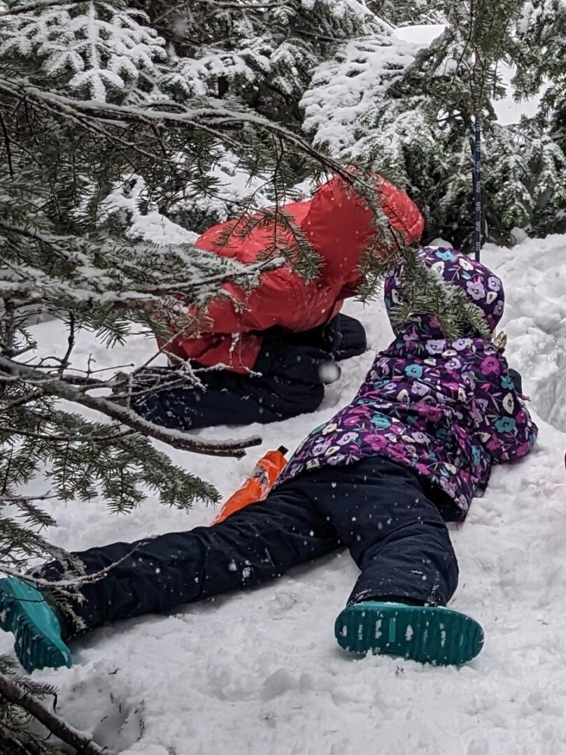 Winter Unit Study - Tales of a Mountain Mama