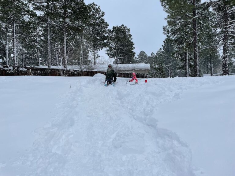 100+ Fun Outdoor Activities For Preschoolers - Tales of a Mountain Mama